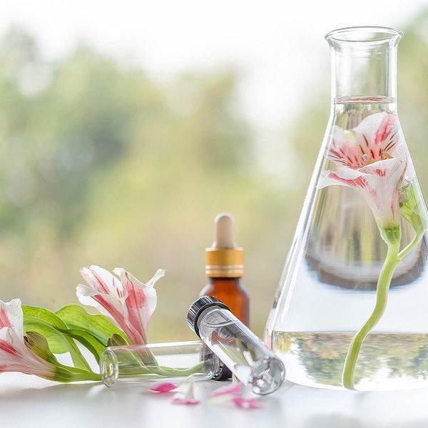 How To Create A Comforting Home Interior Vibe With Aromatic Essential ...